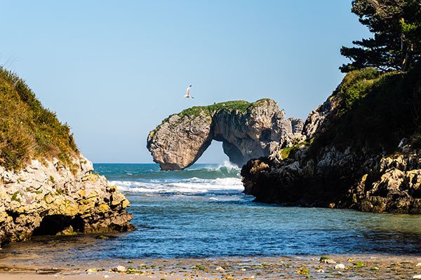 outdoor-travel-_0002_nature-cove - CureHHT